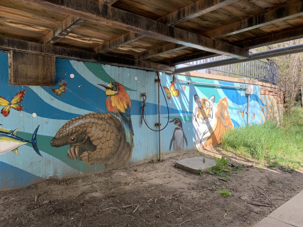 Art Focus II: Boulder Public Art | Shared Paths Boulder